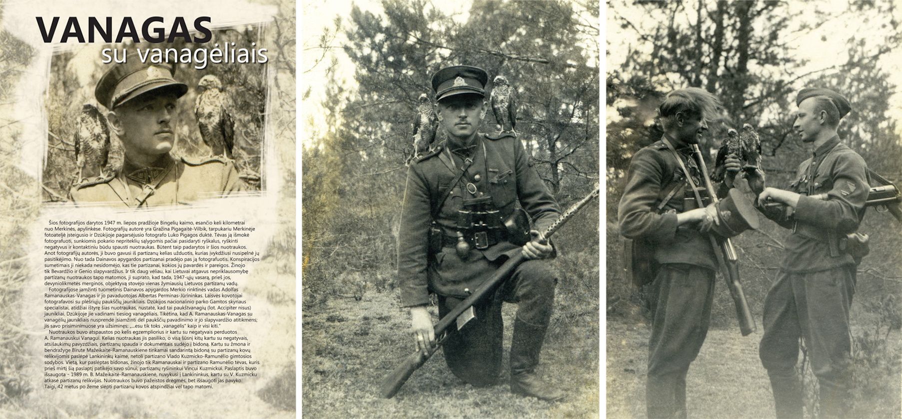 „Vanagas su vanagėliais“ | OLKM